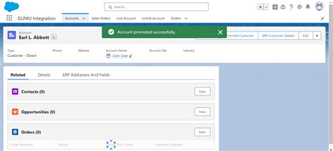 How To Resolve The Xena Flag Issue On Account Promotion For Sage X3 Erp Tips