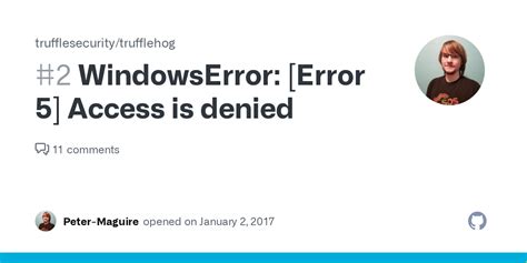 Windowserror Error 5 Access Is Denied · Issue 2 · Trufflesecurity