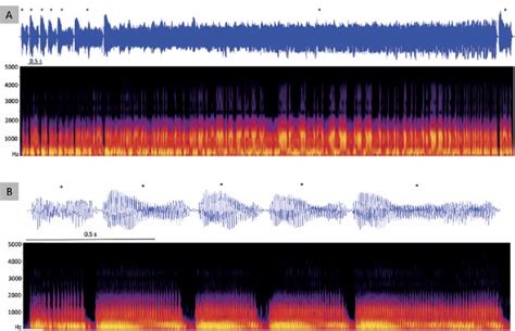 Oscillogram Above And Spectrogram Below Of A Female Attraction