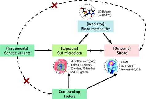 Assumptions And Design Of The Bidirectional And Mediation Mendelian Download Scientific Diagram