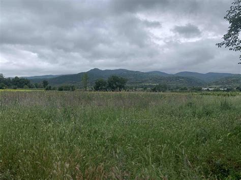 Плоски Земеделска земя за продажба Земеделска земя 5000 кв м пета категория Земеделска земя гр