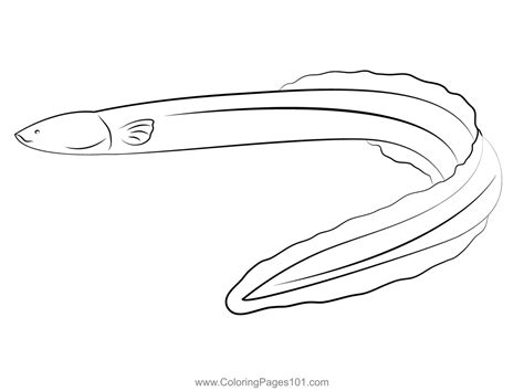 Eel Coloring Page Printable Free Coloring Pages To Print