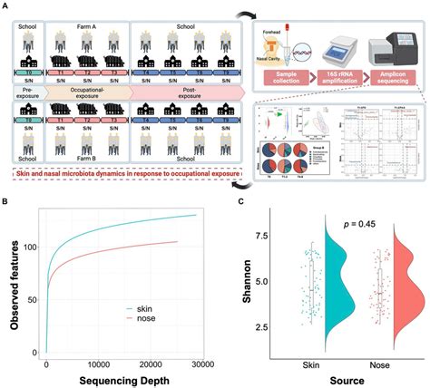 Study Design And Quality Control Of Amplicon Sequencing Data A