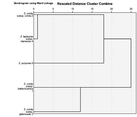 The Dendrogram Of Cluster Analysis By Ward Method On The Quantitative Download Scientific