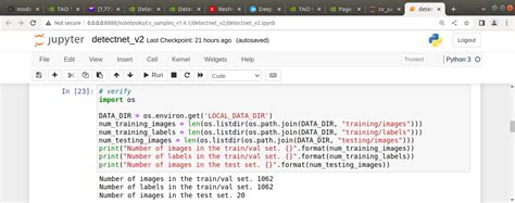 detectnet v2 resnet50 low accuracy on 2 class dataset page 2 tao