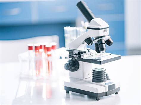 Diagnosi Della Prostata Ingrossata Quali Esami Sono Necessari