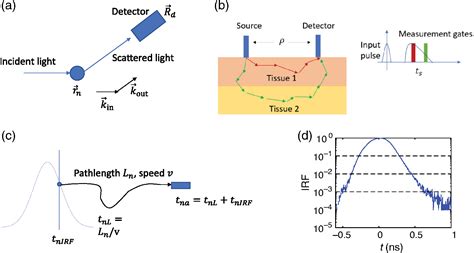 Development Of A Monte Carlo Wave Model To Simulate Time Domain Diffuse