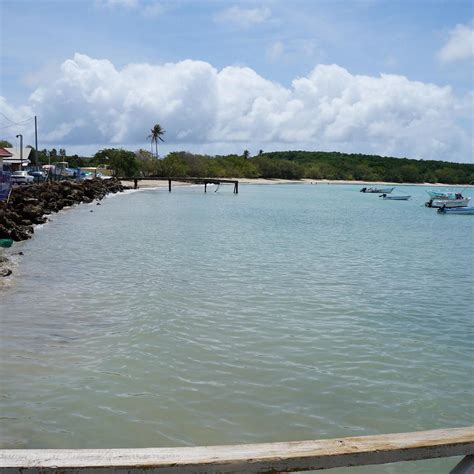 Buccoo Reef Tobago Ce Quil Faut Savoir Pour Votre Visite Avec