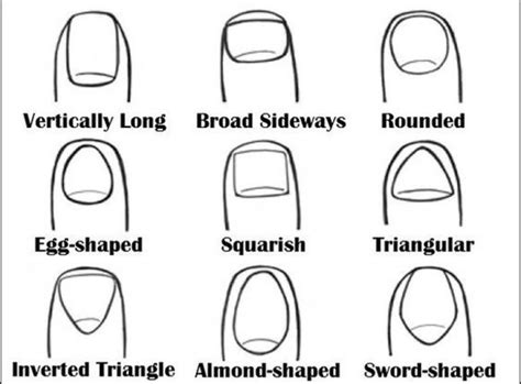 Genetic Nail Shape Guide And Advice Winchester Bloggers