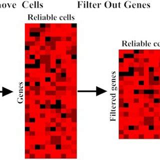 Single Cell Data Preprocessing Steps Overview Of The Workflow For The Download Scientific