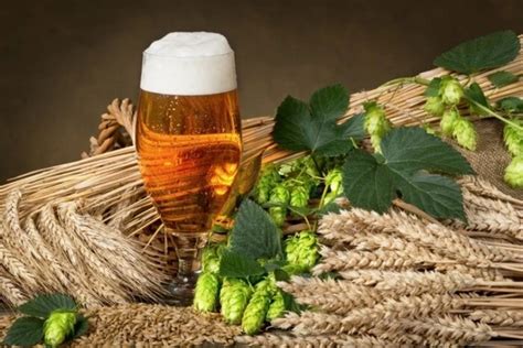 Популярний алкогольний напій може втратити смак у чому причина Читайте на Ukr Net