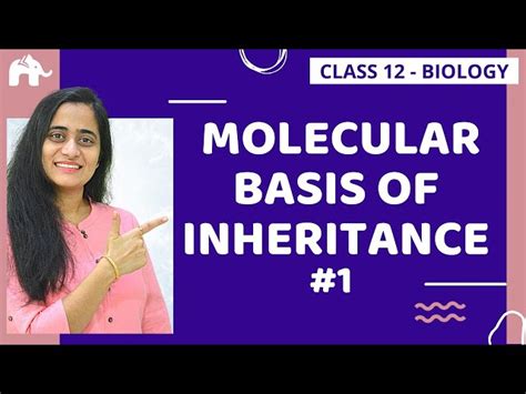 Understanding The Molecular Basis Of Inheritance A Comprehensive Overview Galaxy Ai Galaxy Ai