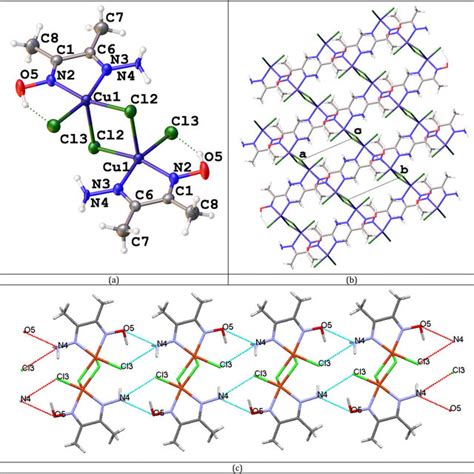 A Cv Behavior Of 1 Vs Agcl Ag Saturated Kcl Electrode Recorded In Download Scientific