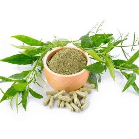 Andrographis Paniculata Extract Powder At Rs 800 Kg Hyderabad Id