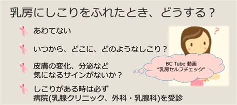 乳房にしこりがあったとき、どうする？｜乳がん大事典｜一般社団法人bc Tube｜複数人の乳腺科医による制作・監修
