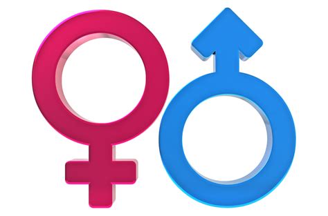 Male Female Sex Sign Gender Symbols Illustration 3d Rendering 3d Gender Symbols 13775553 Png