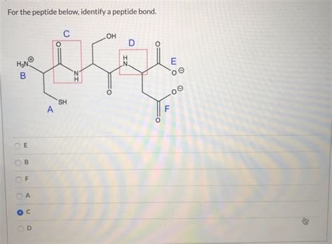 Solved HINCHC 0 OH H2N CH C 0 H2N COO CH Coo NHS C C Chegg Com