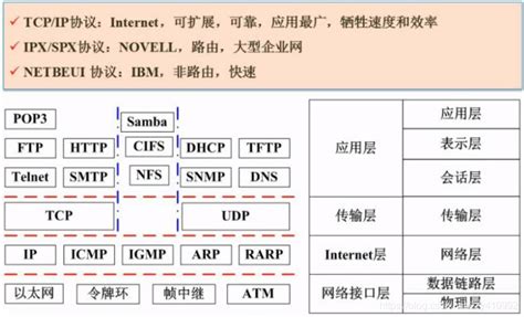 软考（软件设计师）考点总结 计算机网络基础 软考 网络知识点总结 csdn博客