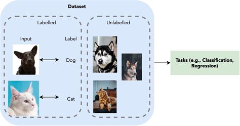 Supervised Semi Supervised Unsupervised And Self Supervised Learning By Tim Cheng Tds