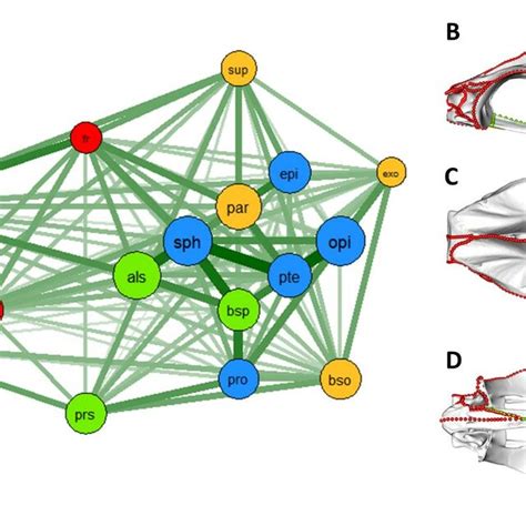 Results Of Modularity Analyses Network Plot A Shows The Relative