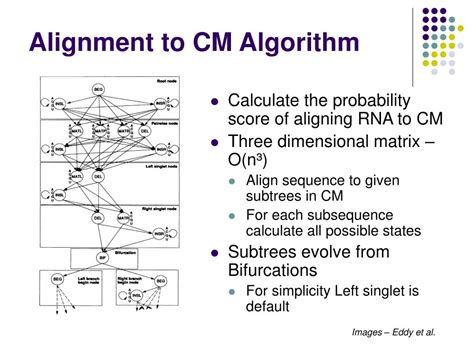 Ppt Rna Secondary Structure Prediction Powerpoint Presentation Free