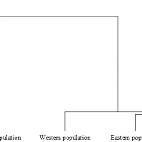 Dendrogram Of Hierarchical Cluster Analysis Based On Euclidean Download Scientific Diagram