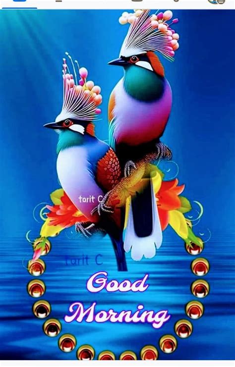 ජවයෙන් ඉදිරියට ස්වයං රැකියා නිෂ්පාදක යෝ