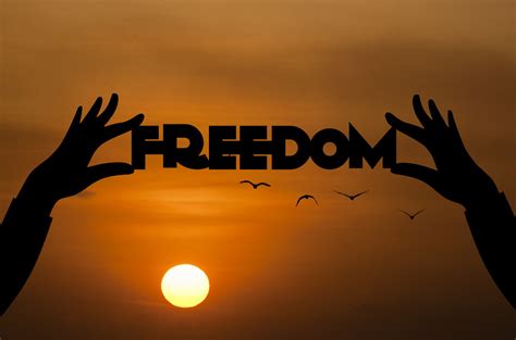 Free Images : freedom, sunset, dusk, silhouette, birds, nature ...