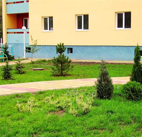 БЛАГОУСТРОЯВАНЕ И ПАРКОУСТРОЯВАНЕ НА ДОМ ЗА ВЪЗРАСТНИ С УМСТВЕНА НЕДОСТАТЪЧНОСТ С МЕДОВИНА