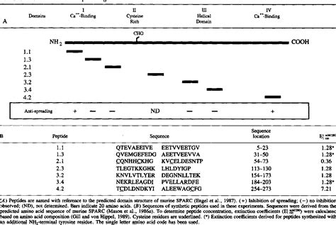 Table 1 From Functional Mapping Of Sparc Peptides From Two Distinct