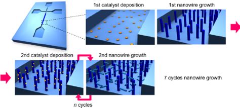 Schematic Of The Three Dimensional Nanowire Chip Fabrication The Download Scientific Diagram