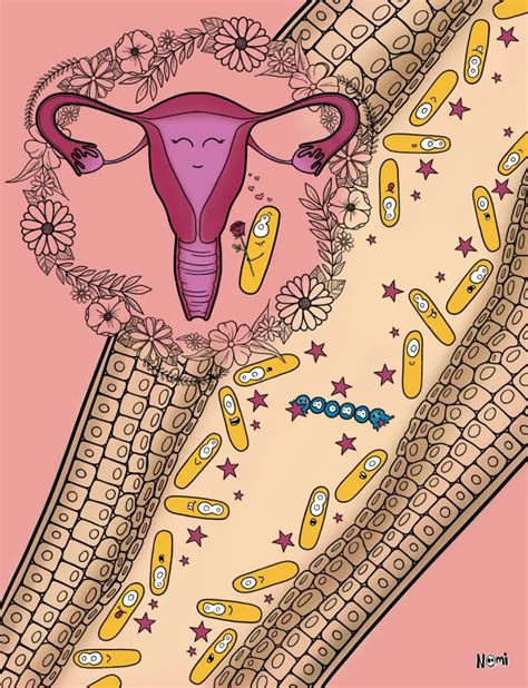Microbial Fermentation Impacts Our Food Industry And Health Bacterialworld