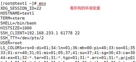 Shell编程基础:脚本、重定向、管道与变量 Csdn博客 Shell编程基础:脚本、重定向、管道与变量 Csdn博客