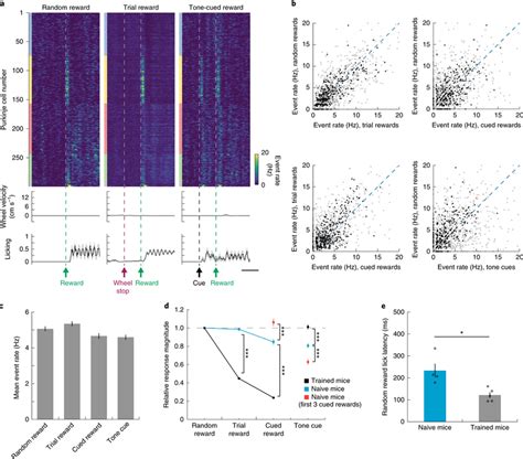 Modulation Of Reward Related Responses Develops With Training A Top
