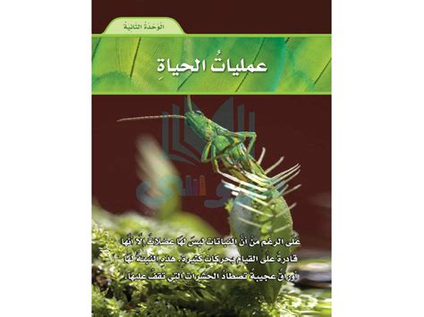 حل كتاب الطالب علوم سادس ابتدائي الفصل الاول الوحدة الثالثة العلوم