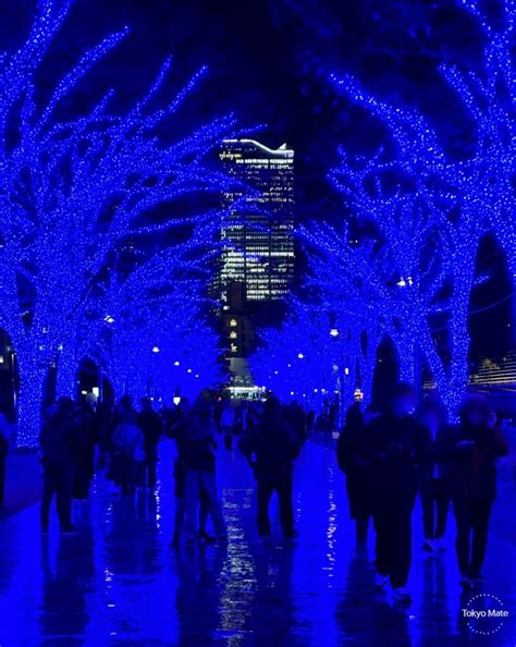 Shibuya Blue Cave Illumination 2025 Complete Guide To Tokyos Magical