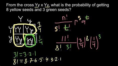 Nikolays Genetics Lessons On Linkedin Nikolaysgeneticslessons