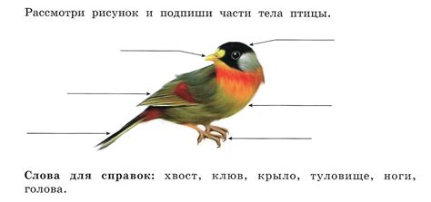 9 КЛАСС 2024 - 2025 уч. год (8 класс 2023-2024 уч. год)