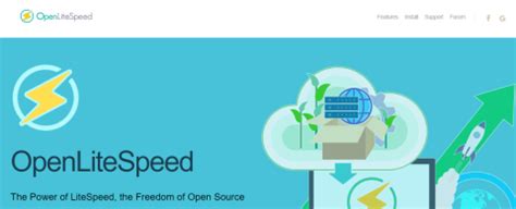 Discovering Nginx Alternative Exploring The Best Web Server Options