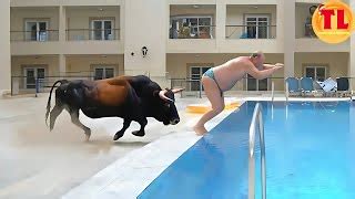 Hilarious People Life 48 Instant Regret Fails Compilation 2024 Try Not ...