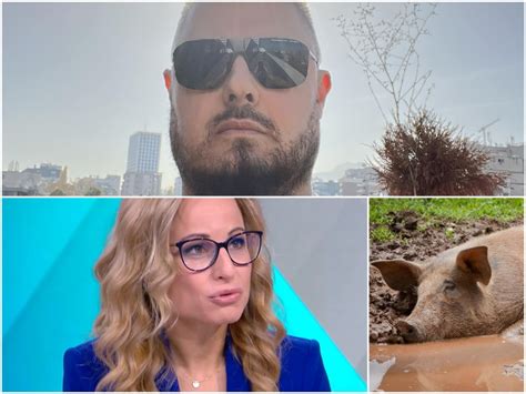 Бареков Нивото на тинята в телевизиите е толкова ниско че и блатска свиня да се потопи в нея