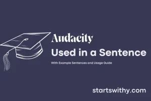 AUDACITY In A Sentence Examples Ways To Use Audacity