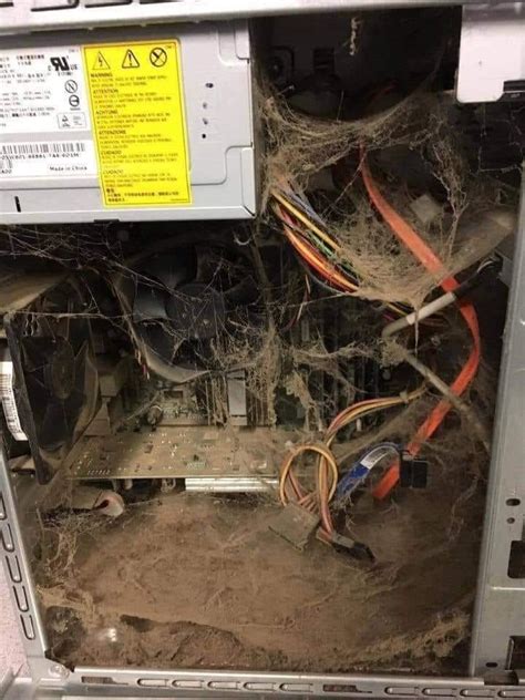 How Often Do You Clean Your PC R Pcmasterrace