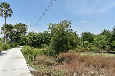 ⚡ ขายที่ดินแปลงสวย ราคาถูก ติดถนน 2 ด้าน ต ดอนเจดีย์ อ ดอนเจดีย์ จ
