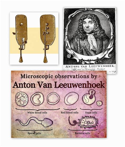 Living The Dreamsicle September 17 Anton Van Leeuwenhoek And Bacteria