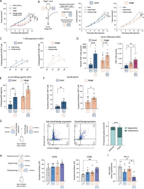 Neoantigen Architectures Define Immunogenicity And Drive Immune Evasion Of Tumors With