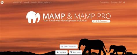 10 best local wordpress development environments