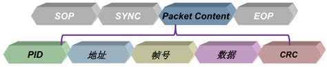 usb协议详解 csdn博客