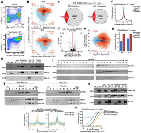Cem Ccrf Cells Atcc Bioz