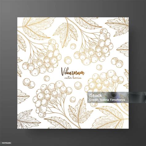 딸기와 함께 감기 카드 템플릿입니다 자연 및 유기 제품을 위한 좋은 디자인 패키지를 만드는 건강과 아름다움의 천연 제품 설계